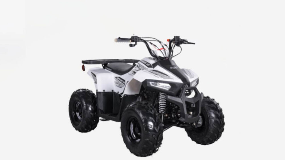 Skyjet Bellina 125 cc benzinli motosiklet için BİM kampanyası [30 ...